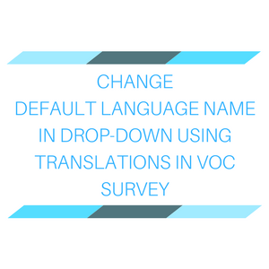Change default language name in drop-down using translations in VOC ...