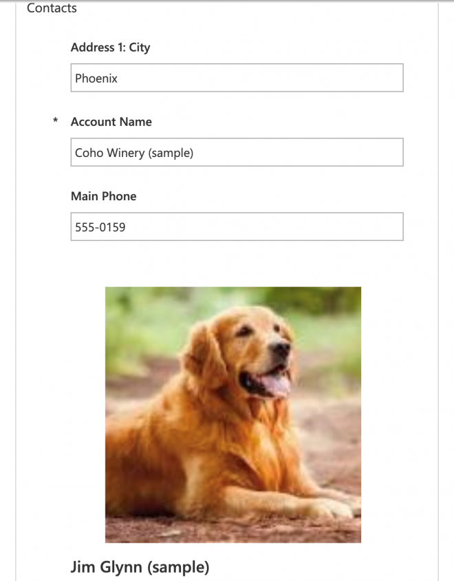Embedding Canvas Apps Within Model Driven Apps Power Apps Portal