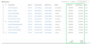 Enhanced Grouping and Aggregation Features in Microsoft Dynamics 365 CRM for Views and Subgrids ...