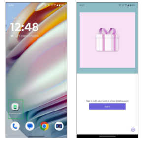Wrapping Feature in Power Apps: Converting Canvas Apps into Native Android Mobile Apps ...