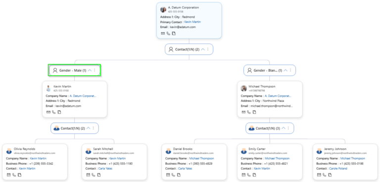 Relationship Mapping and Data Visualization in Dynamics 365 CRM: A ...