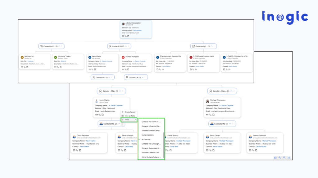 Relationship Mapping and Data Visualization in Dynamics 365 CRM: A ...